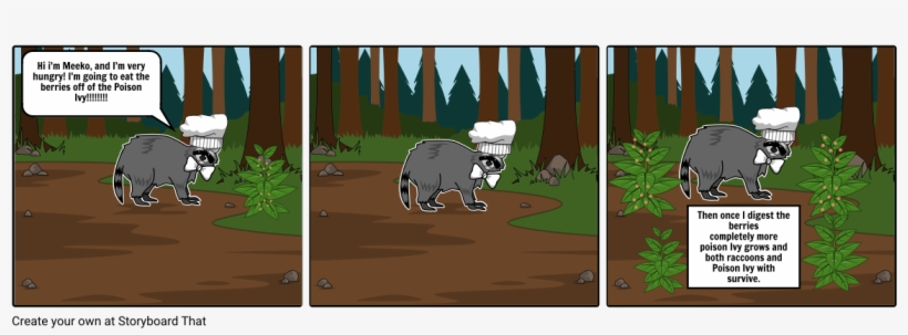 Racoon - Storyboard - 1164x385 PNG Download - PNGkit