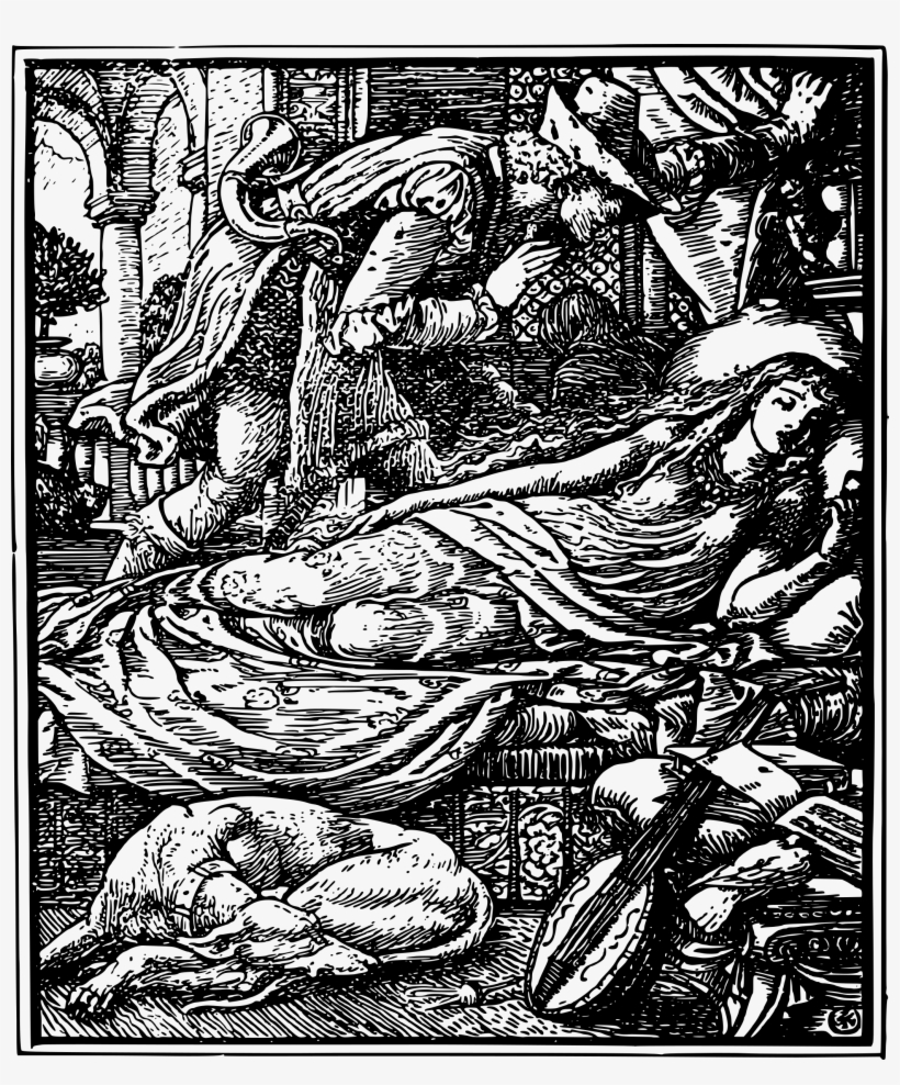 Hand Drawn Arrow Top Bottom - Arrow Transparent Background - 480x484 ...