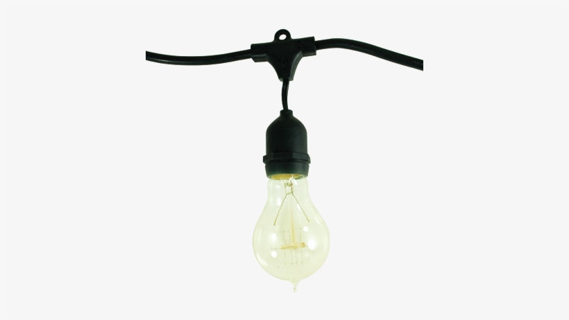 Strings/fixtures - Rope Light - 400x400 PNG Download - PNGkit