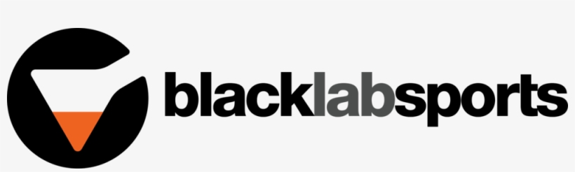 Bls Logo Horz - 1000x252 PNG Download - PNGkit