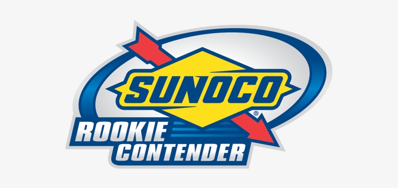 Sunoco Race Fuels Standard Purple 110 Octane Race Gas - 550x315 PNG ...