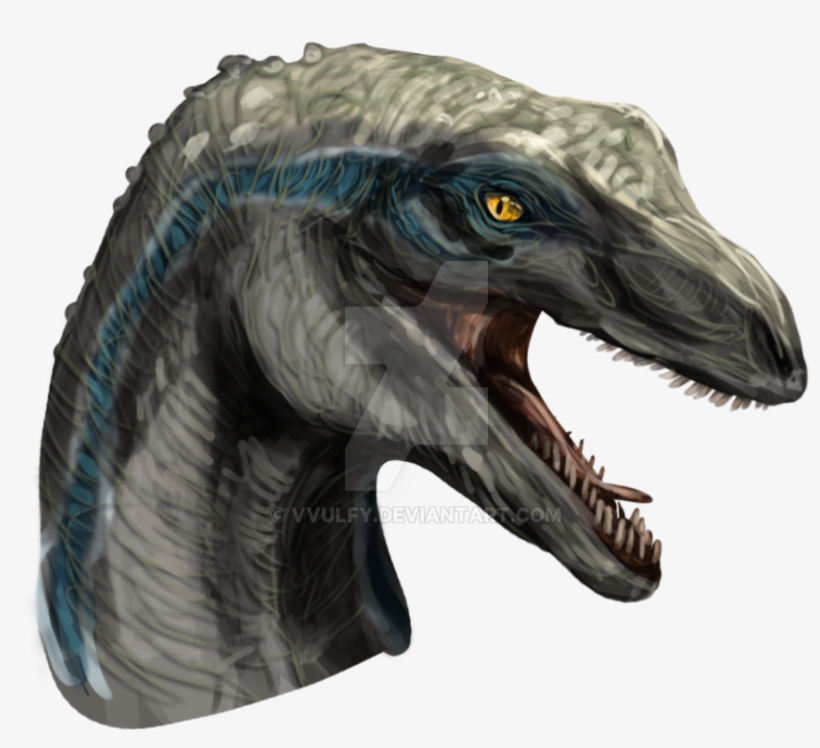 Velociraptor Drawing Watercolor - Blue Raptor Head Png - 900x806 PNG ...
