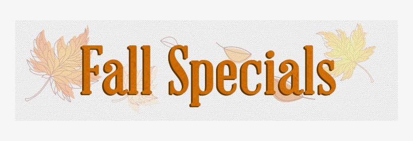 Do You Love Norwex® Products - Fall Specials - 760x200 PNG Download ...