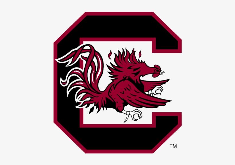 South Carolina Gamecocks Logo - 500x500 PNG Download - PNGkit
