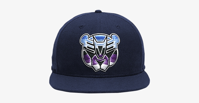 Download Transparent Evil Genius Wip Cap Decepticon - Evil Genius - PNGkit