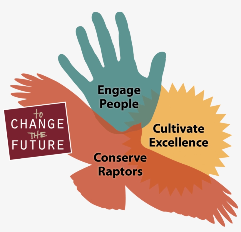 Conserve Raptors - Mama Turney's Homemade Pies - 982x900 PNG Download ...