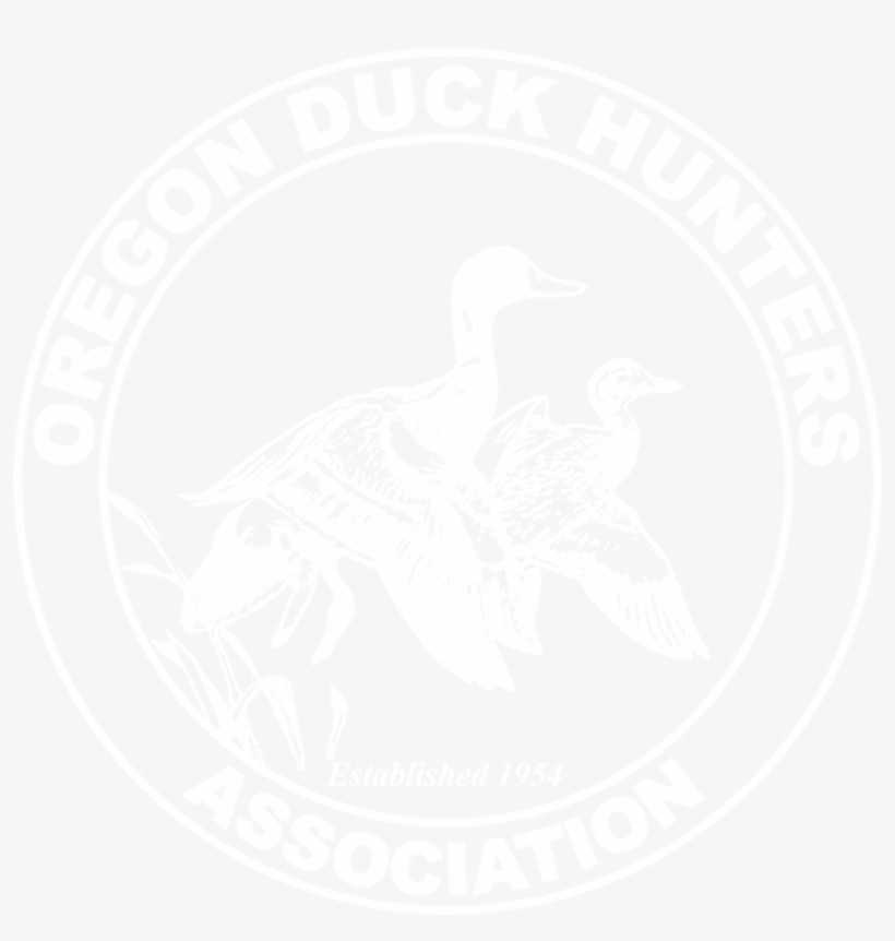 Oregon Duck Hunters Association - Oregon - 1524x1527 PNG Download - PNGkit