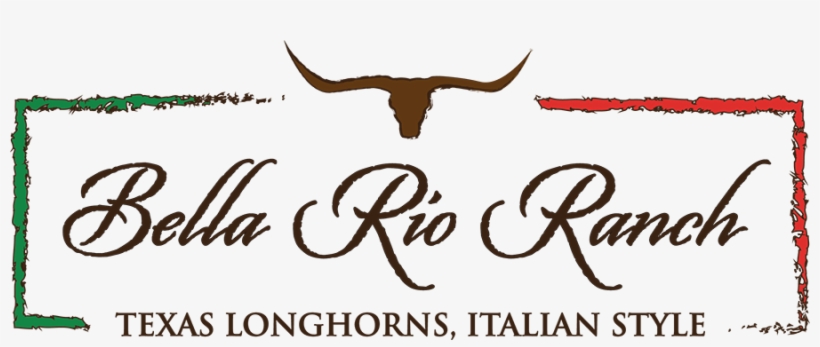 Rio Ranch Market - 900x338 PNG Download - PNGkit