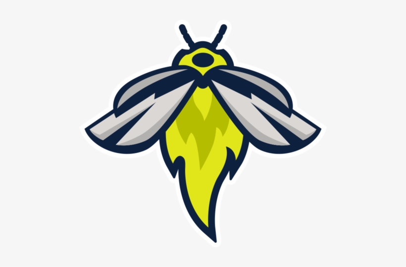 Columbia Fireflies - Fireflies Baseball Logo - 500x459 PNG Download ...