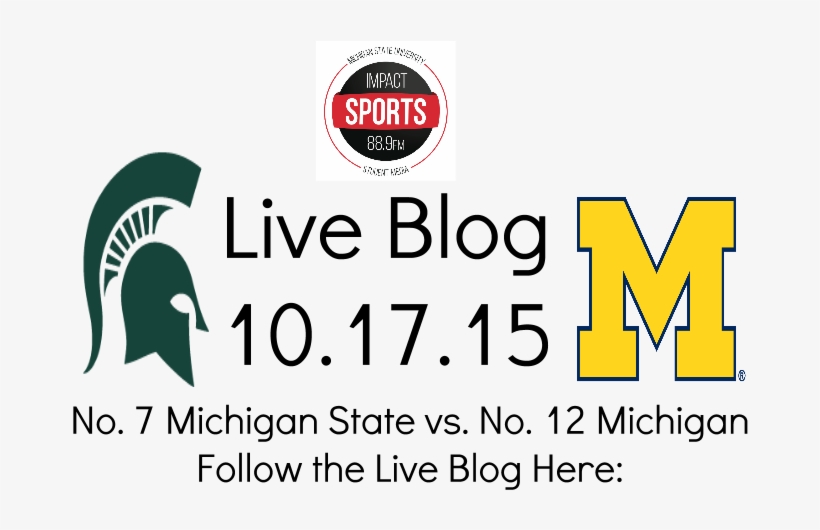 File Michigan State University Logo 16 X 20 Matted - 1078x516 PNG ...