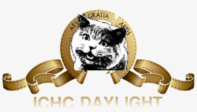 Download Transparent Ichc Channel Daylight Logo New - Metro Goldwyn ...