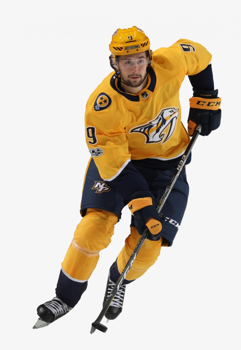 5 The Game At Bridgestone As The Preds Take On The - Nashville ...