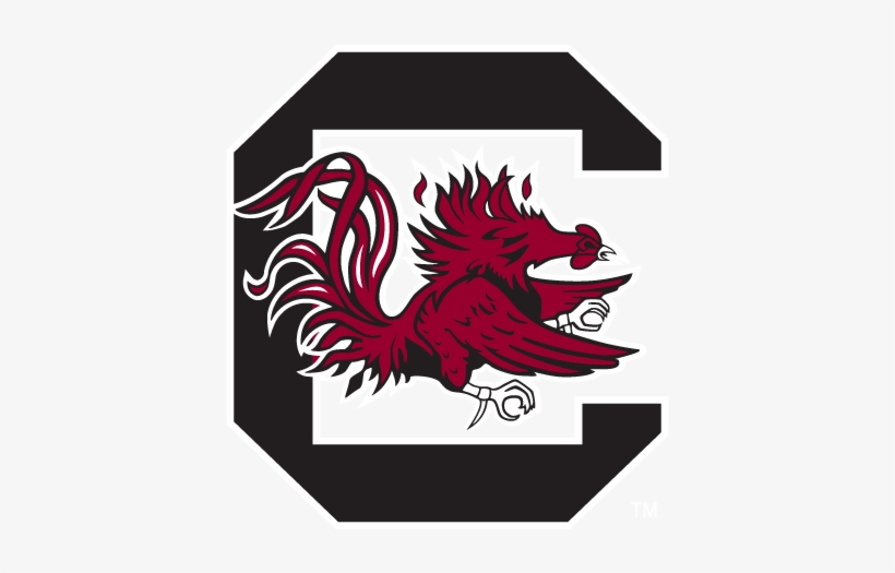 Download Transparent South Carolina Gamecocks - PNGkit