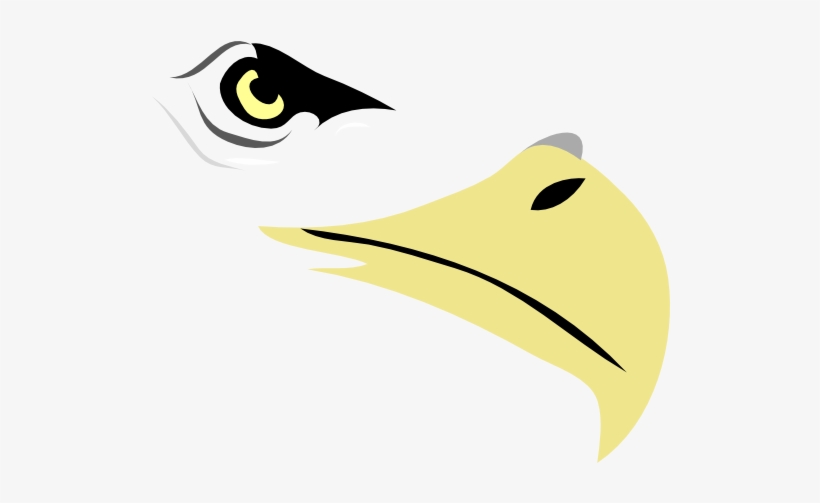 Collection Of Clipart - Eagle Eye Vector Png - 600x422 PNG Download ...