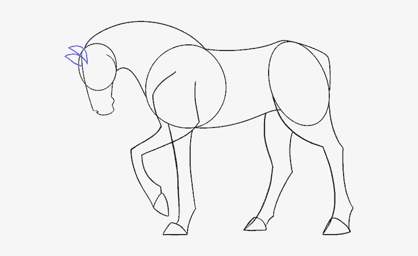 How To Draw A Simple Horse - Draw Simple Horse - 678x600 PNG Download ...