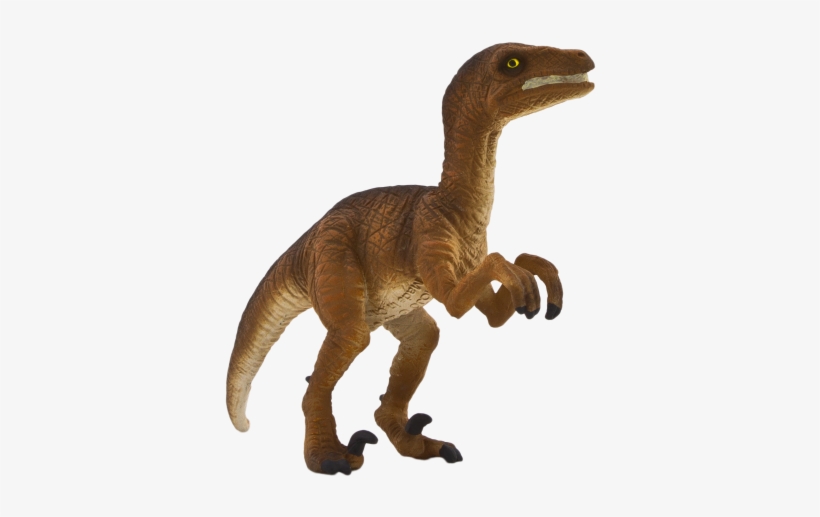 Velociraptor Standing - Animal Planet - Velociraptor Standing - 540x500 ...