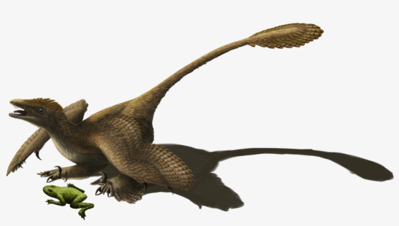 Sinornithosaurus - Sinornithosaurus Png - 1024x564 PNG Download - PNGkit