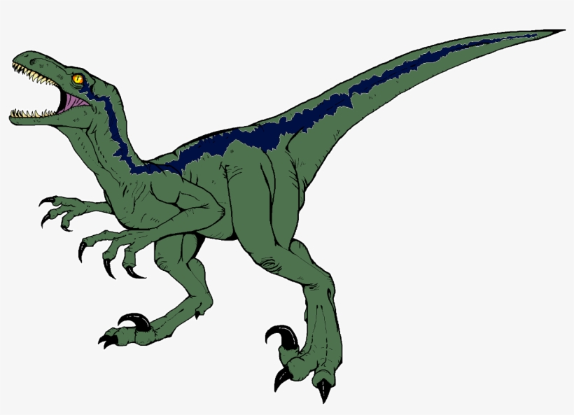 Blue The Raptor - Velociraptor - 1300x975 PNG Download - PNGkit
