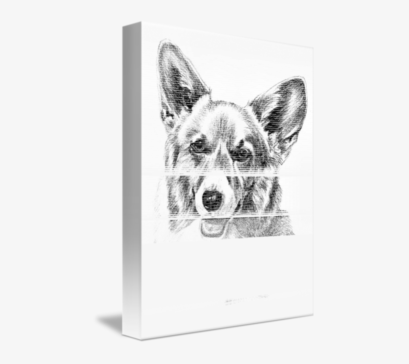 Drawn Corgi Transparent - Drawing - 447x650 PNG Download - PNGkit