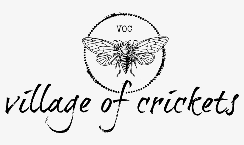 Small Points Of Light - 1000x438 PNG Download - PNGkit