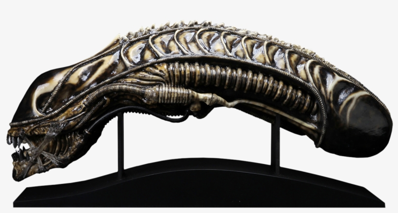 Alien - 1266x634 PNG Download - PNGkit