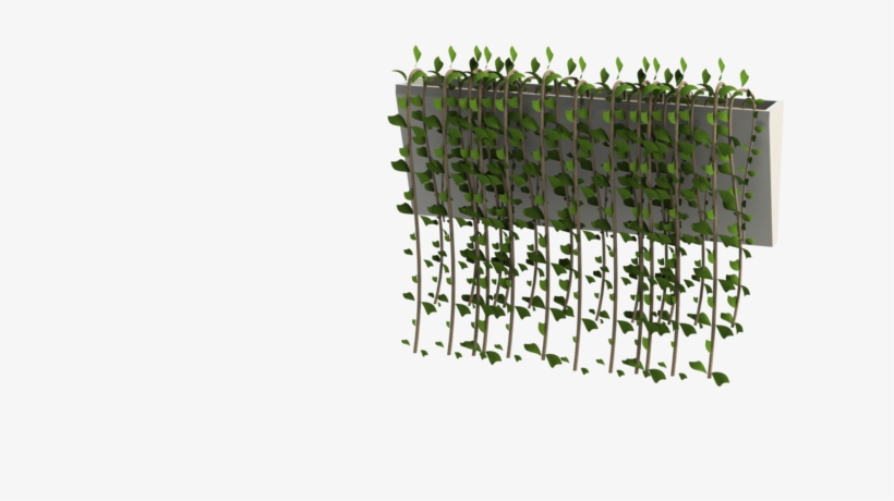 Download Transparent Hanging Plants Cad - PNGkit