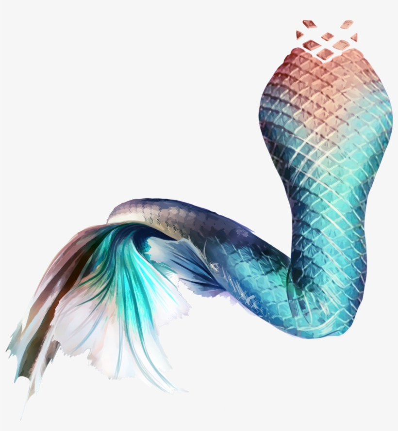 Mermaid Tail Sticker - 1817x1988 PNG Download - PNGkit