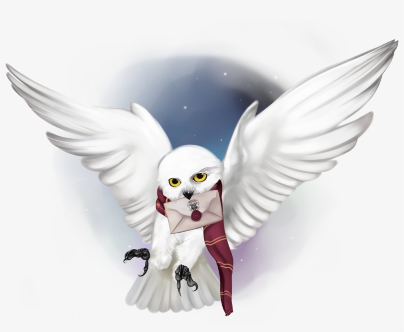 Hedwig By Anyatagomachii On Deviantart Png - Cartoon Hedwig - 1063x752 ...