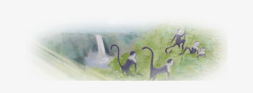 Nuestros Libros - Langur - 655x377 PNG Download - PNGkit