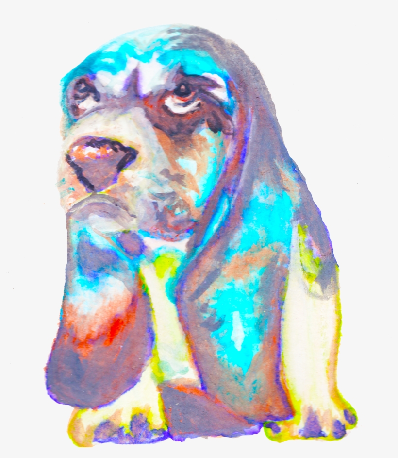 George - Companion Dog - 1920x1920 PNG Download - PNGkit