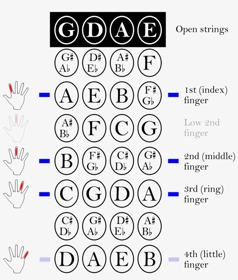 Violin Finger Positions - 1200x1371 PNG Download - PNGkit