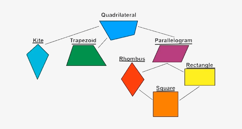 Download Transparent Square Rectangle Parallelogram Rhombus Trapezium ...