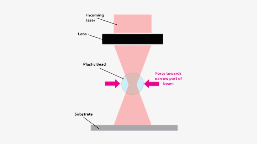 A Schematic Of A Simple Optical Trap Acting On A Transparent - Diagram ...