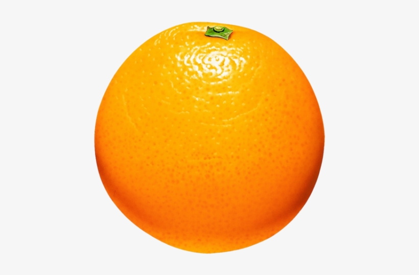 Orange Png Clipart - Fruits In Circle Shape - 500x494 PNG Download - PNGkit