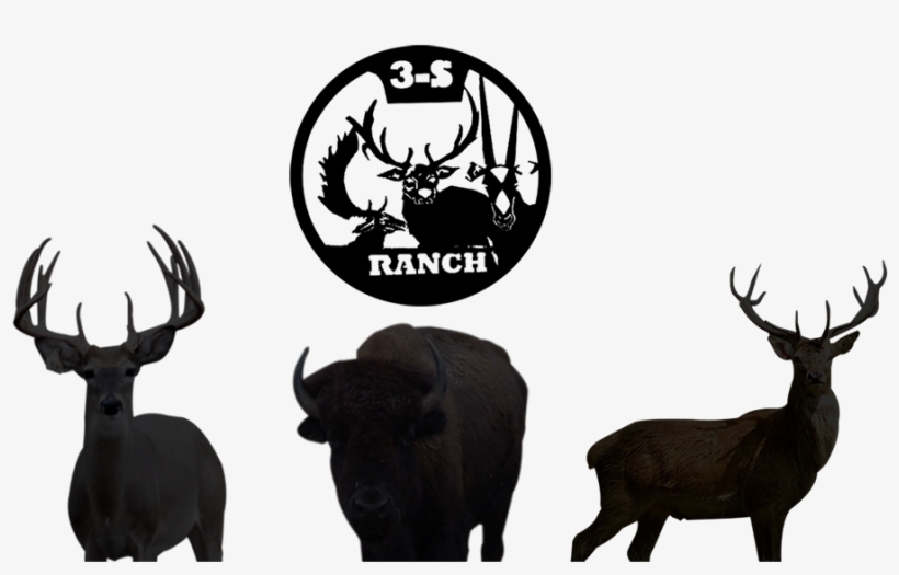 3s Ranch - 906x530 PNG Download - PNGkit