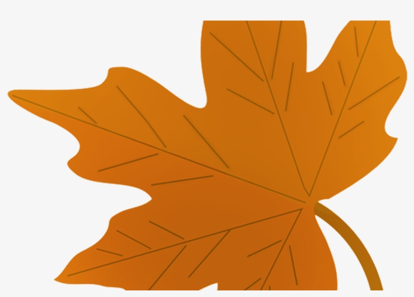 Orange Leaves Clipart
