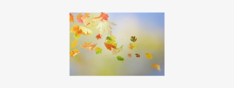 Autumn Leaves Falling - 400x400 PNG Download - PNGkit