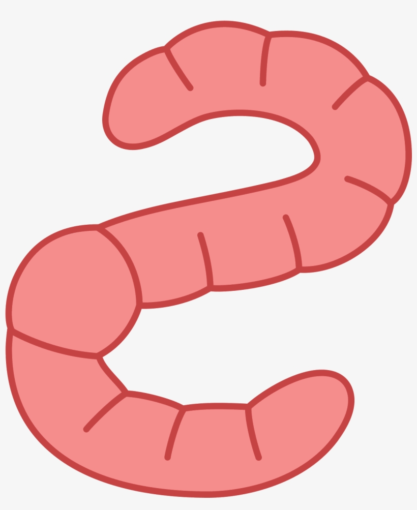 Worms Clipart Pink Worm ~ Frames ~ Illustrations ~ - Vector Worm Png ...