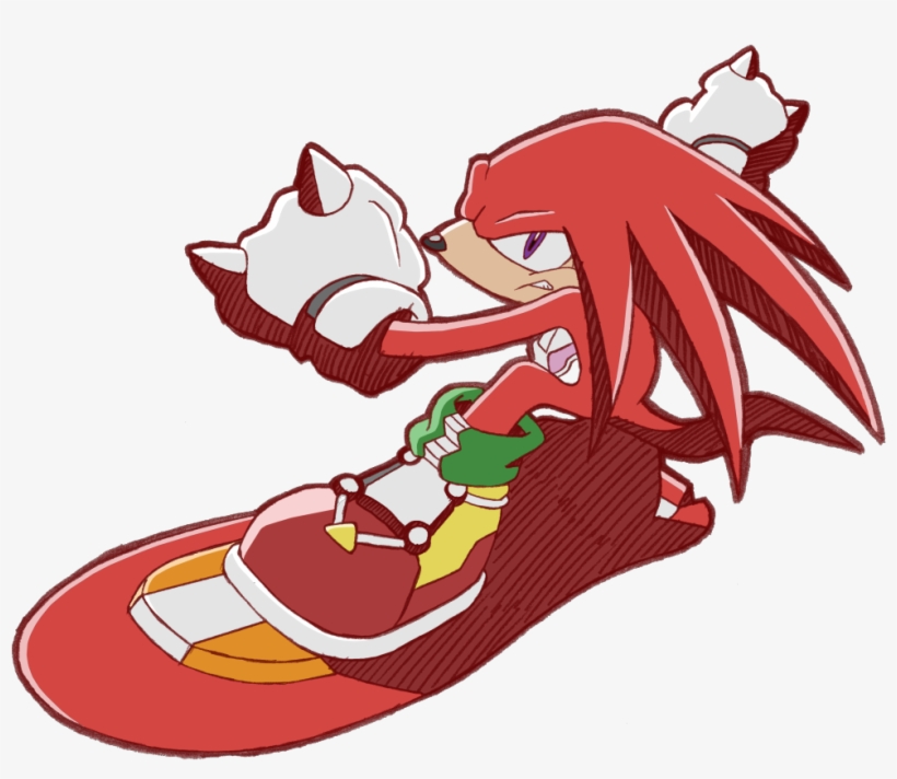 Knuckles The Echidna Sonic Riders - 1024x874 PNG Download - PNGkit