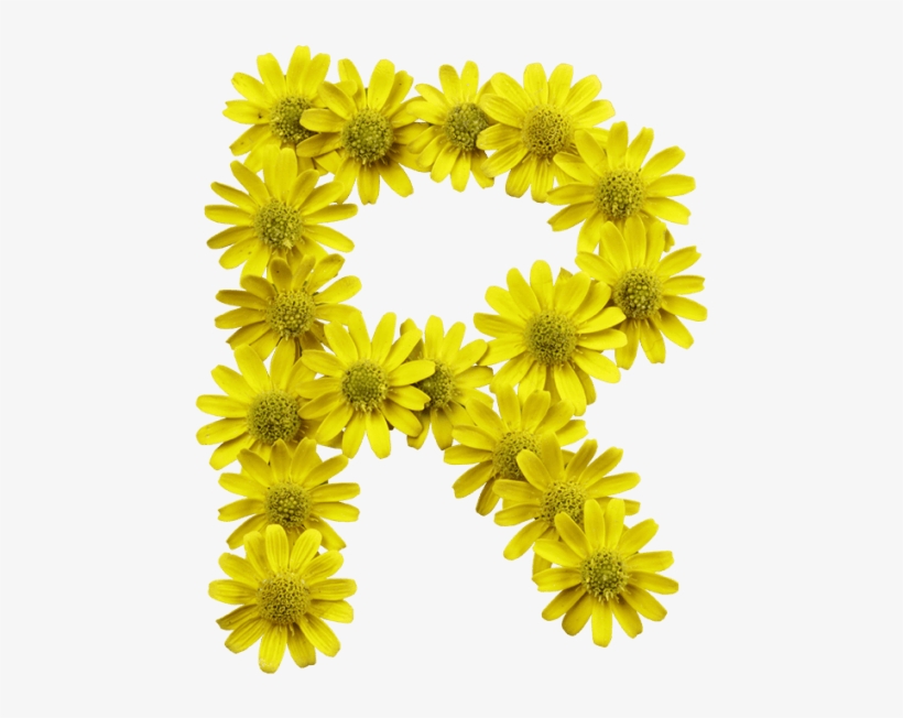 Download Transparent Yellow Flowers Font - Letters With Yellow Flower ...