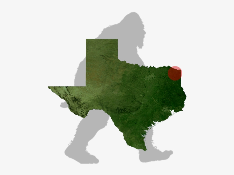 Texas Bigfoot Map - Texas Terrain Map - 500x612 PNG Download - PNGkit