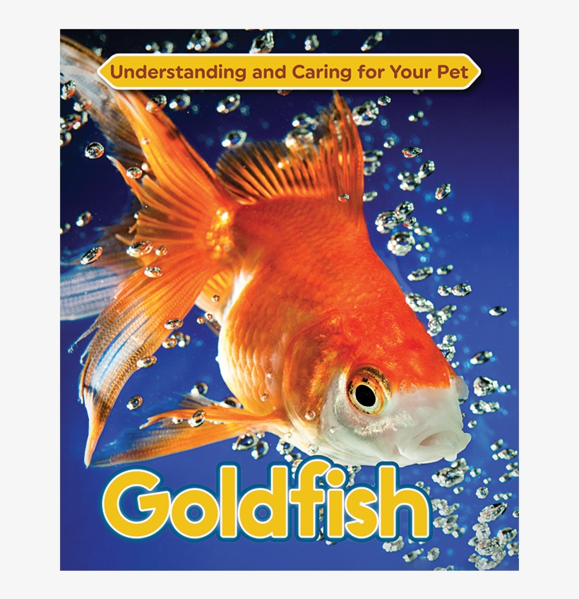 Goldfish [book] - 650x950 PNG Download - PNGkit