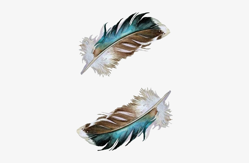 Duck Feathers By Jody Edwards - Mallard Duck Feather Tattoo - 426x559 ...