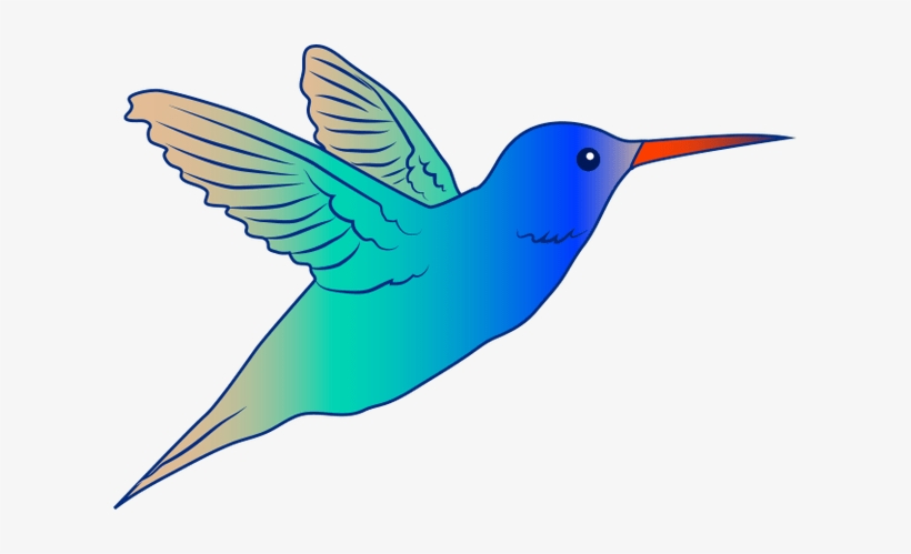 Parrot Photo No Background - Hummingbird Drawing Clip Art - 615x419 PNG ...