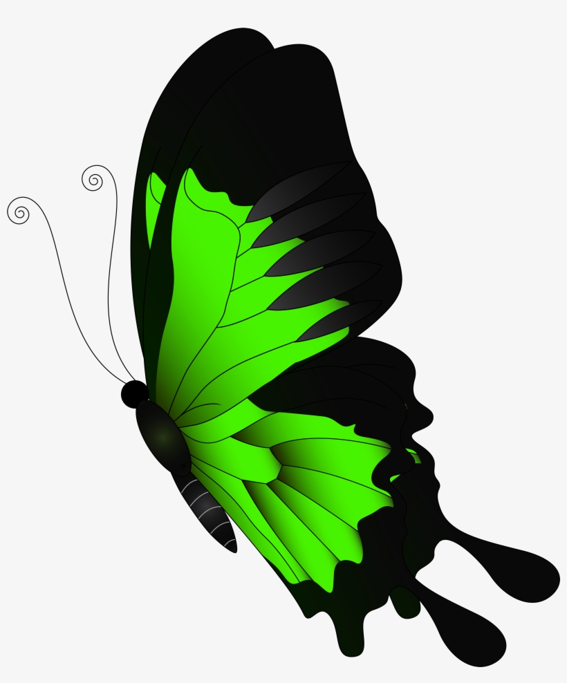 Green Butterfly Clip Art - Green Butterfly Png - 4323x5000 PNG Download ...