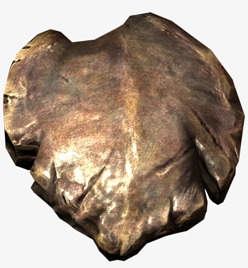 Chitin Plate - Chitinous Plates - 1193x1230 PNG Download - PNGkit