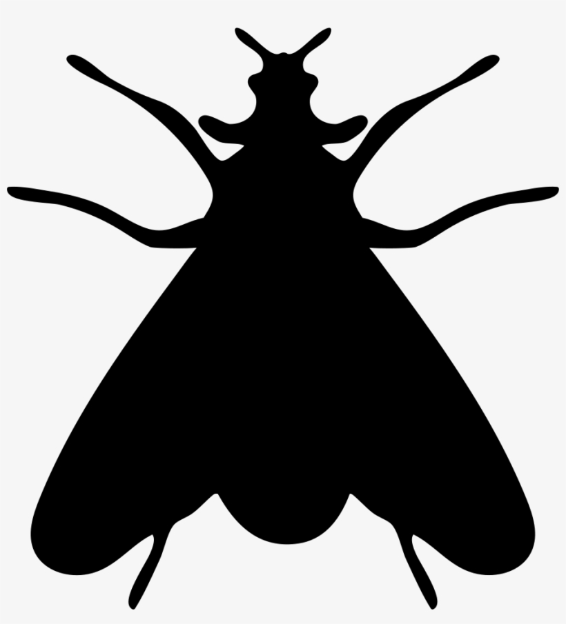 Moth Insect Shape Comments - Fly Silhouette Png - 928x980 PNG Download ...