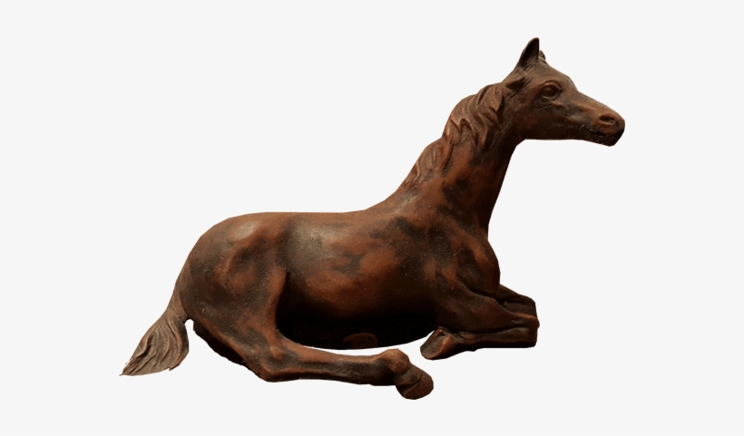 Horse - 600x400 PNG Download - PNGkit