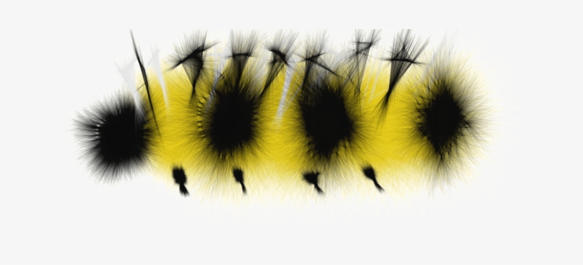Caterpillar Transparent Png - Caterpillar Transparent - 900x294 PNG ...