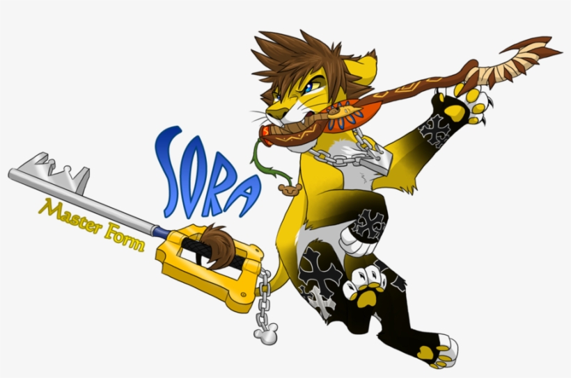 Lion Sora From Kingdom Hearts 2 Images Sora Master - Lion Sora Drive ...